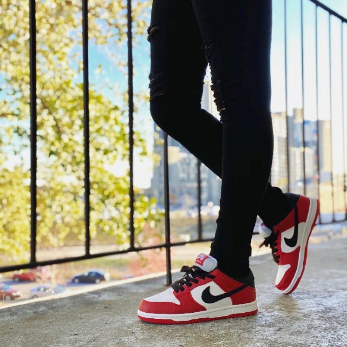 Nike SB Dunk Low Pro Chicago – PK-Shoes
